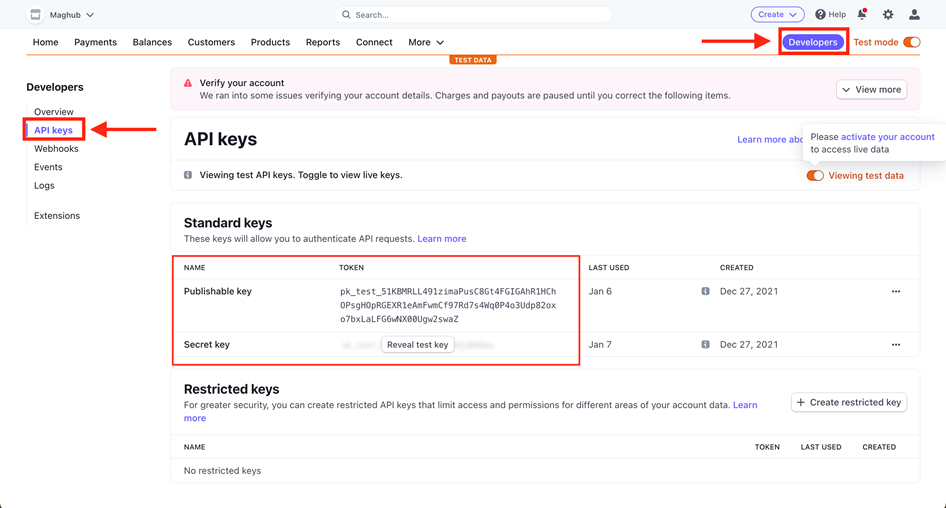 Set up Stripe as your Payment Processor